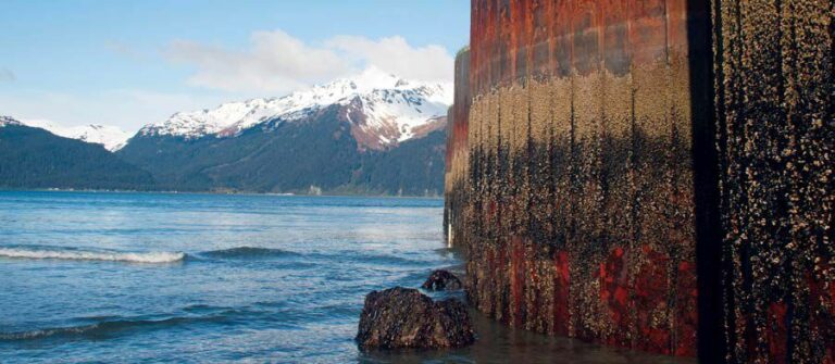 Sheet Pile Cofferdams - Marine Construction Magazine